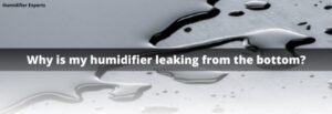 Why is my humidifier leaking from the bottom? (How to Fix It ...