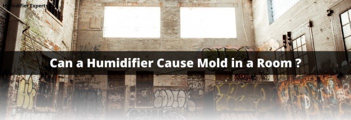 Can a Humidifier Cause Mold in a Room? - Humidifier Experts