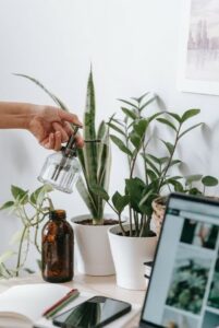 Can a Humidifier Damage a Computer? - January 2024