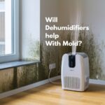 Will Dehumidifiers Help with Mold? - October 2025